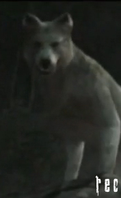 Personagens :: REC | Resident Evil Channel®